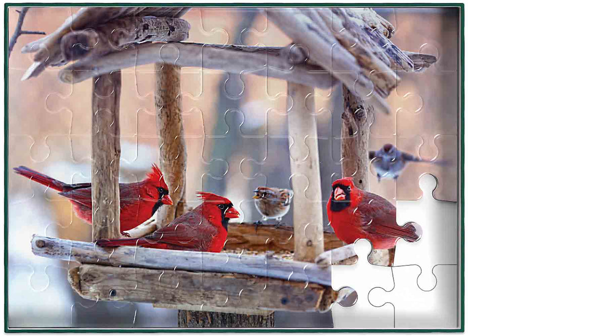 Getting the Most from Dementia Jigsaw Puzzles – Keeping Busy