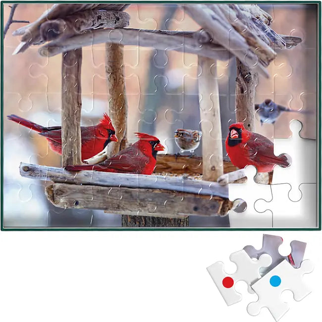 Jigsaw Puzzles for Seniors with Dementia | Birdfeeder 35 pcs | Large ...
